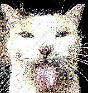 @corru - cohost archive